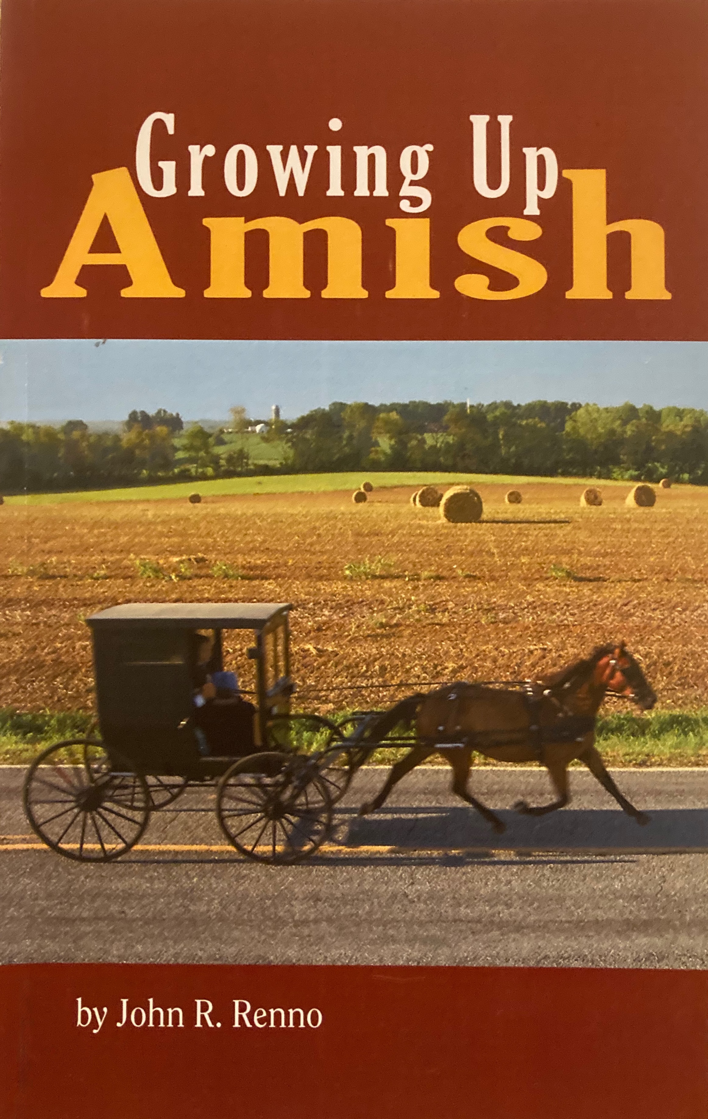 John’s Book – Growing Up Amish – Writings of John R Renno